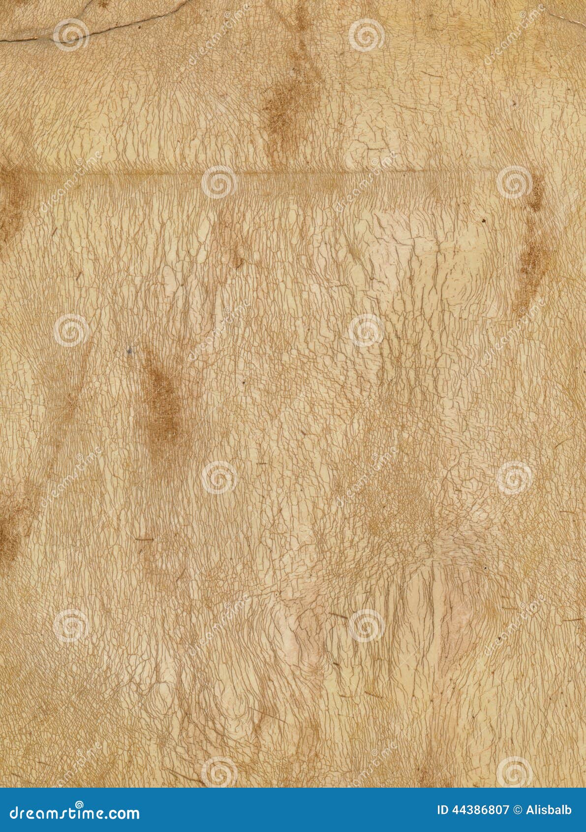 Ancient Grunge Playing Card Paper Background With Two Lines Royalty ...