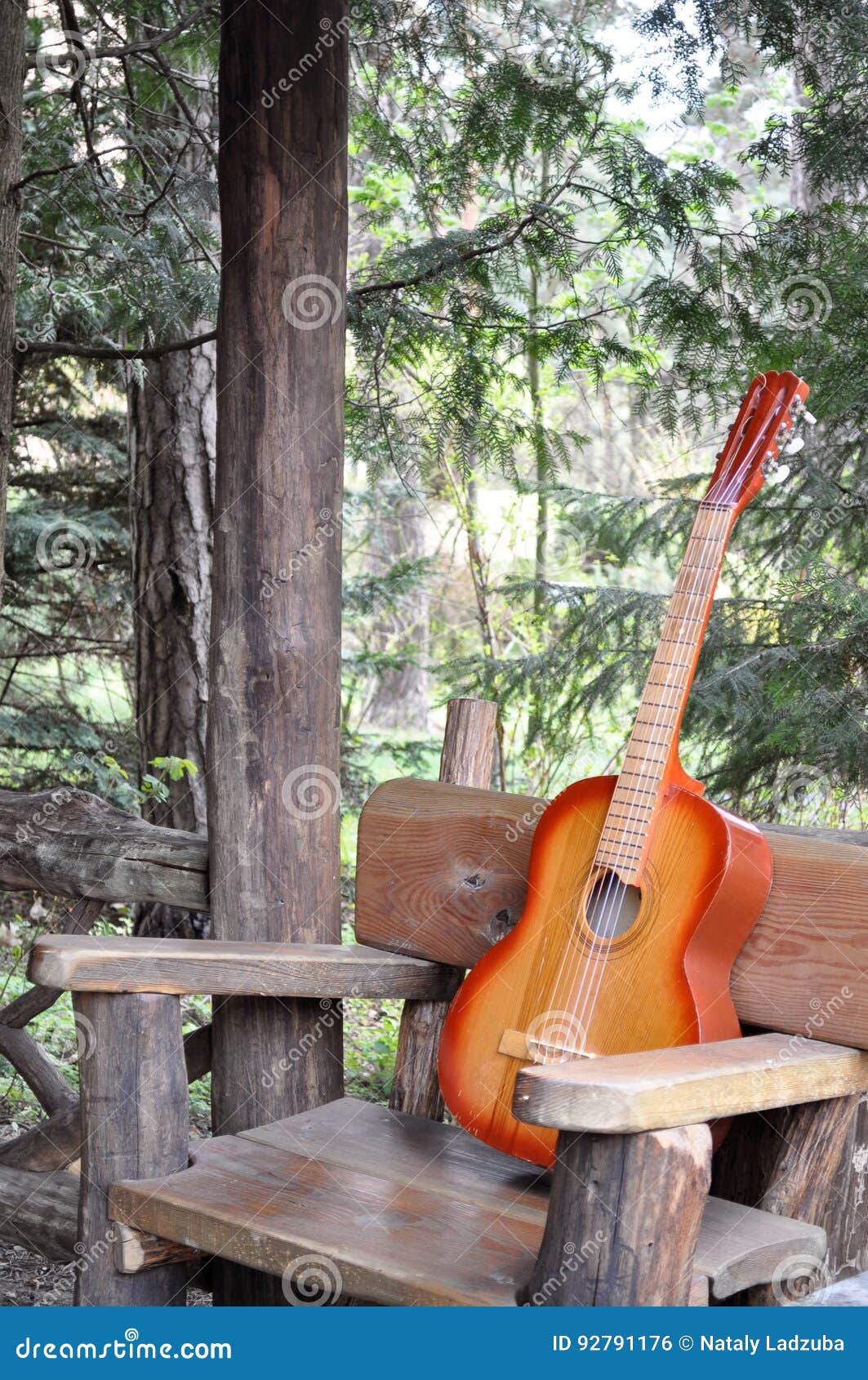 Ancient guitar on a nature stock photo. Image of consumed - 92791176