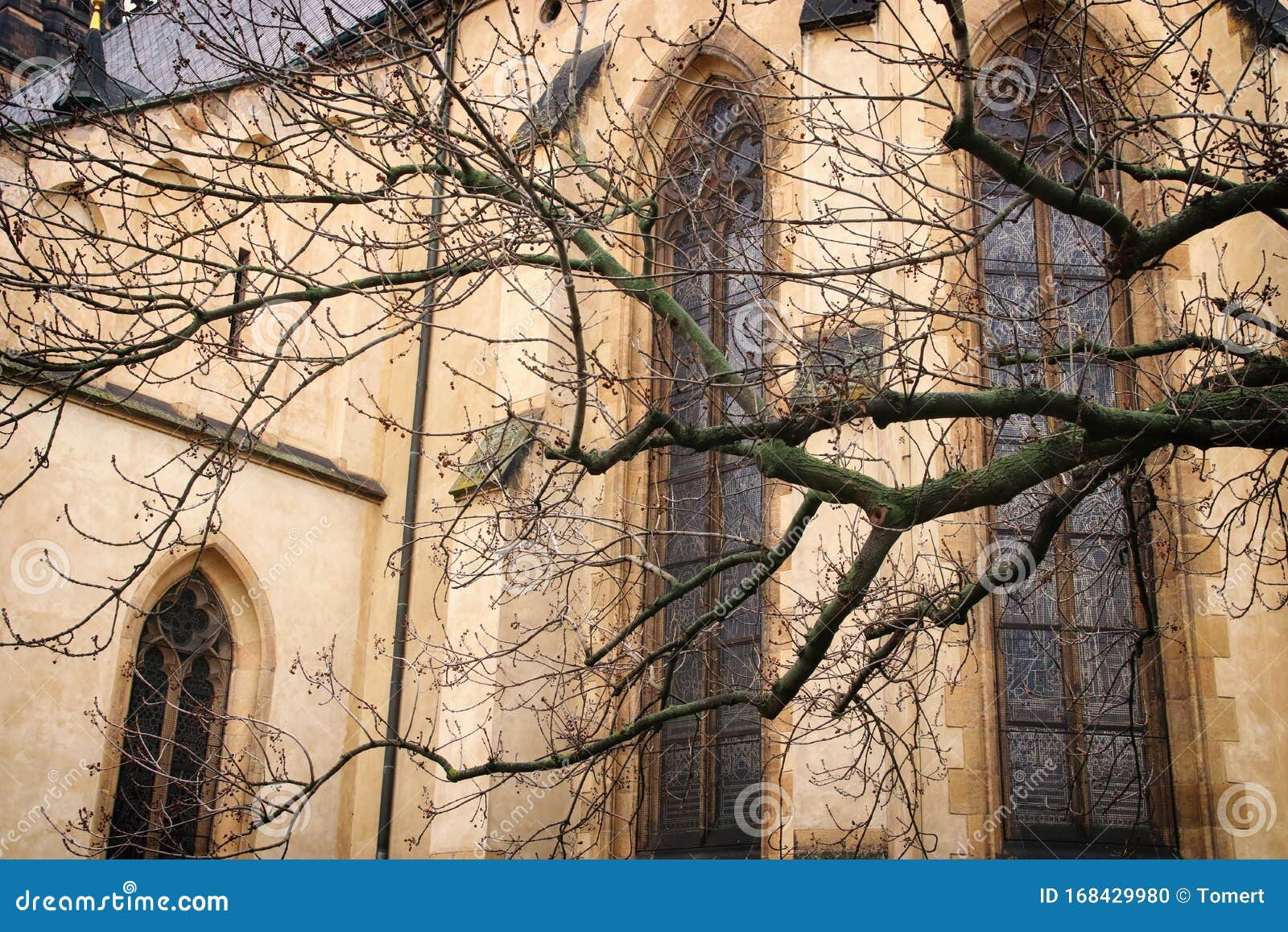 Ancient House and Bare Trees at Winter Stock Photo - Image of gothic ...