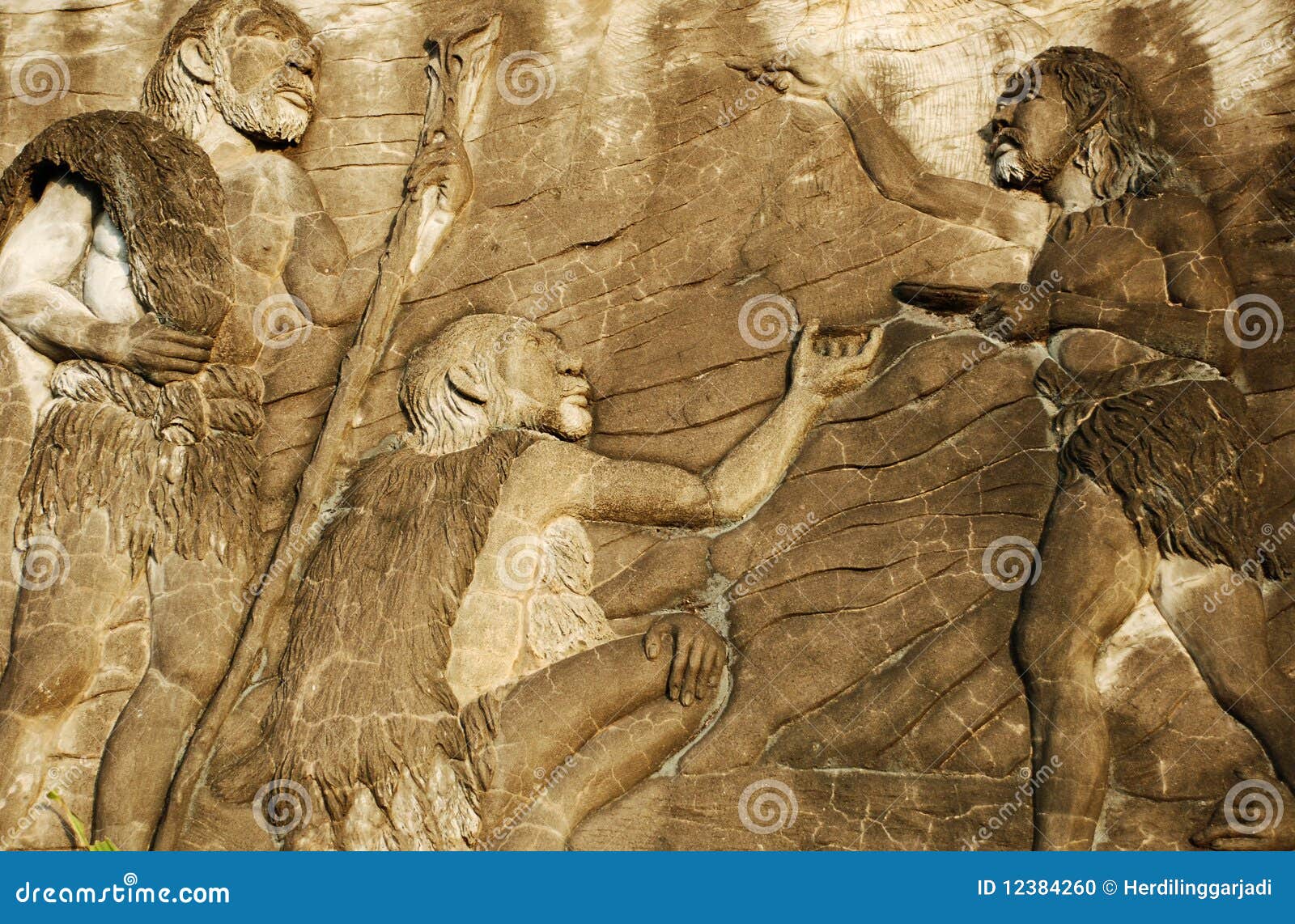 Ancient Human stock photo. Image of indonesia, anthropology - 12384260