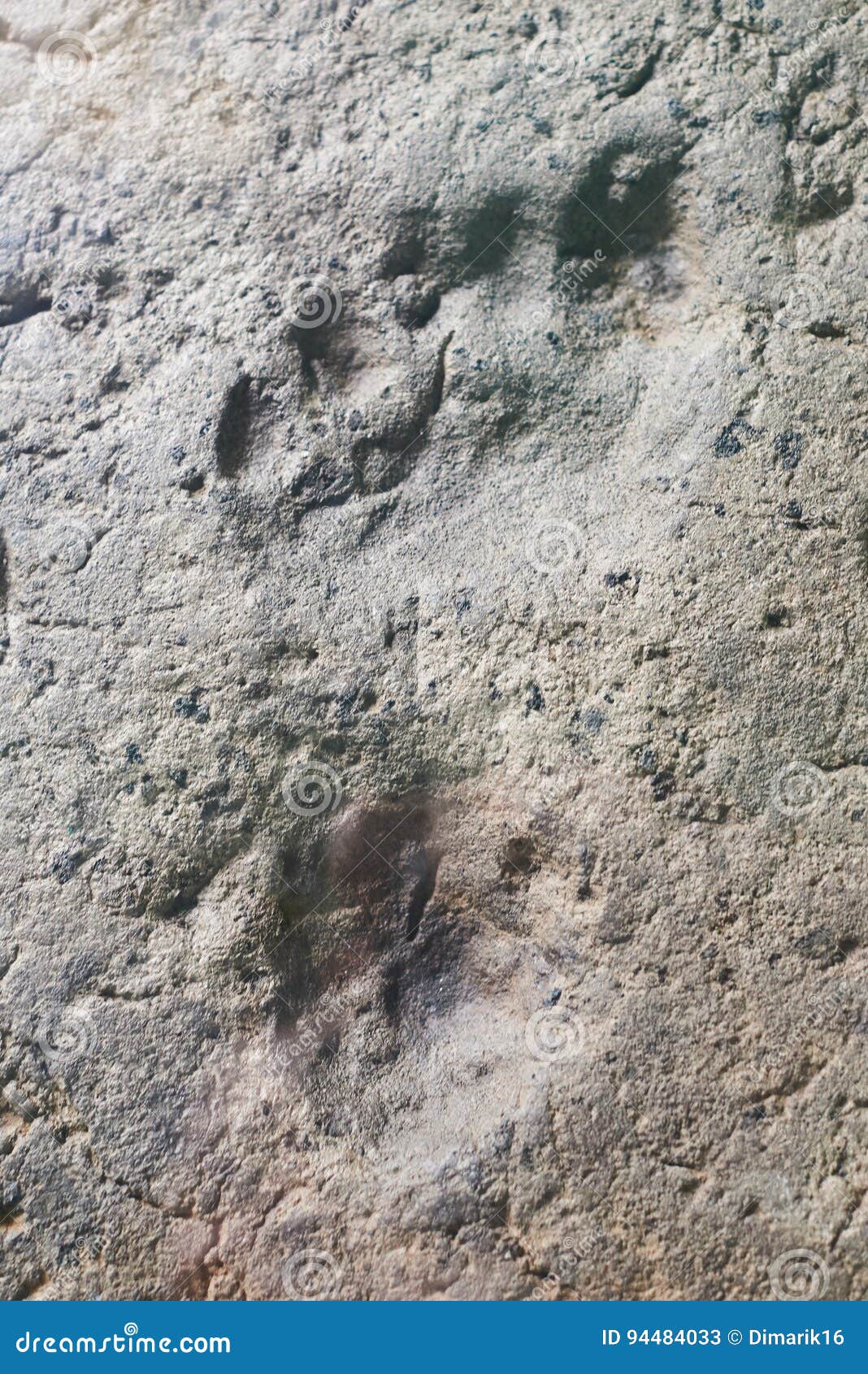 Ancient Human Trace on Rock Stock Image - Image of human, rock: 94484033