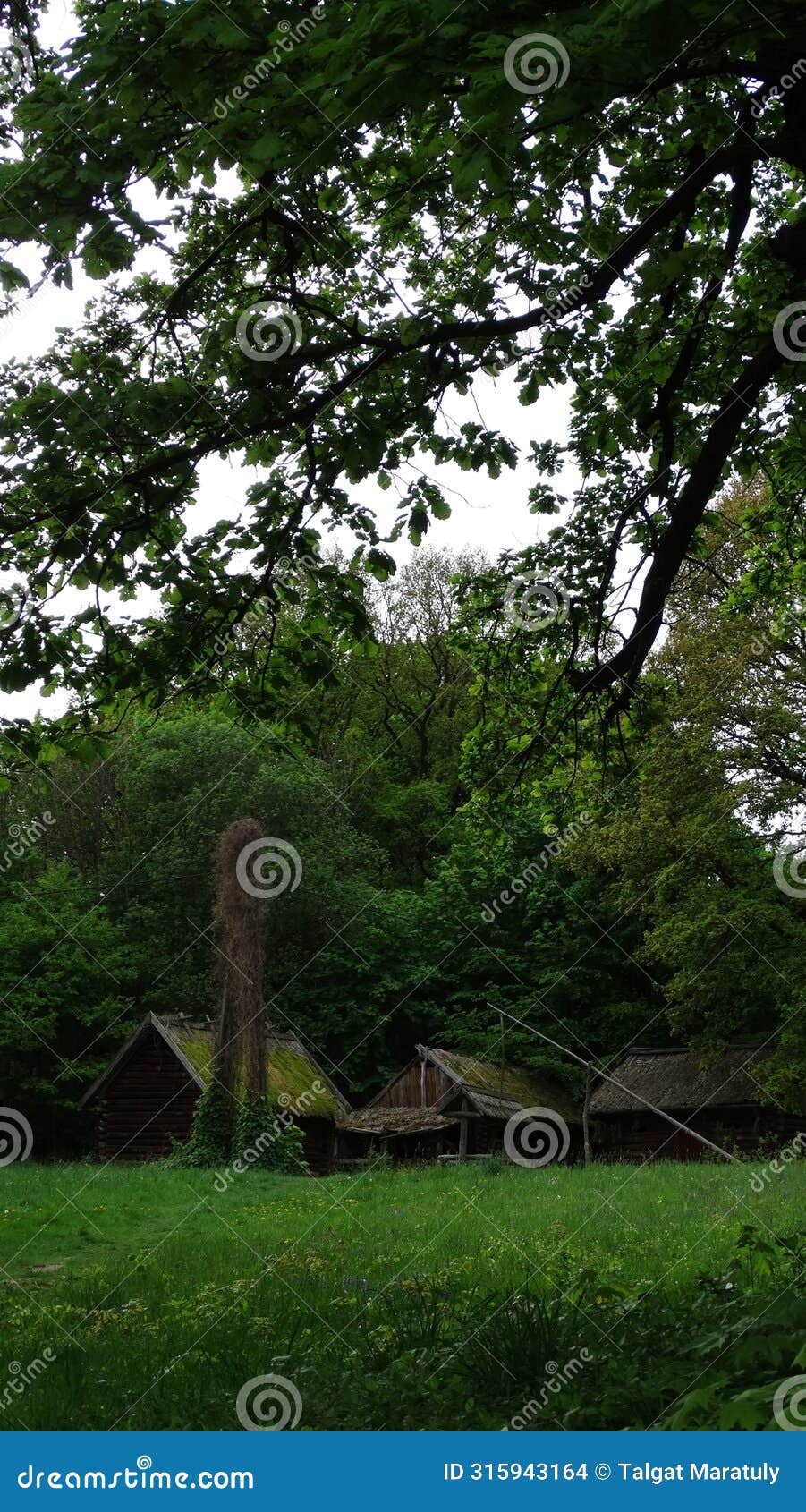 Ancient Huts Surrounded by Green and Spring Forest Stock Photo - Image ...