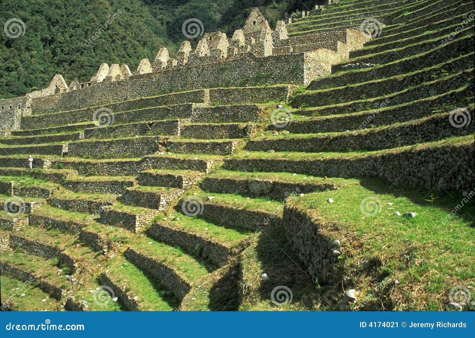 Inca Agriculture Tools