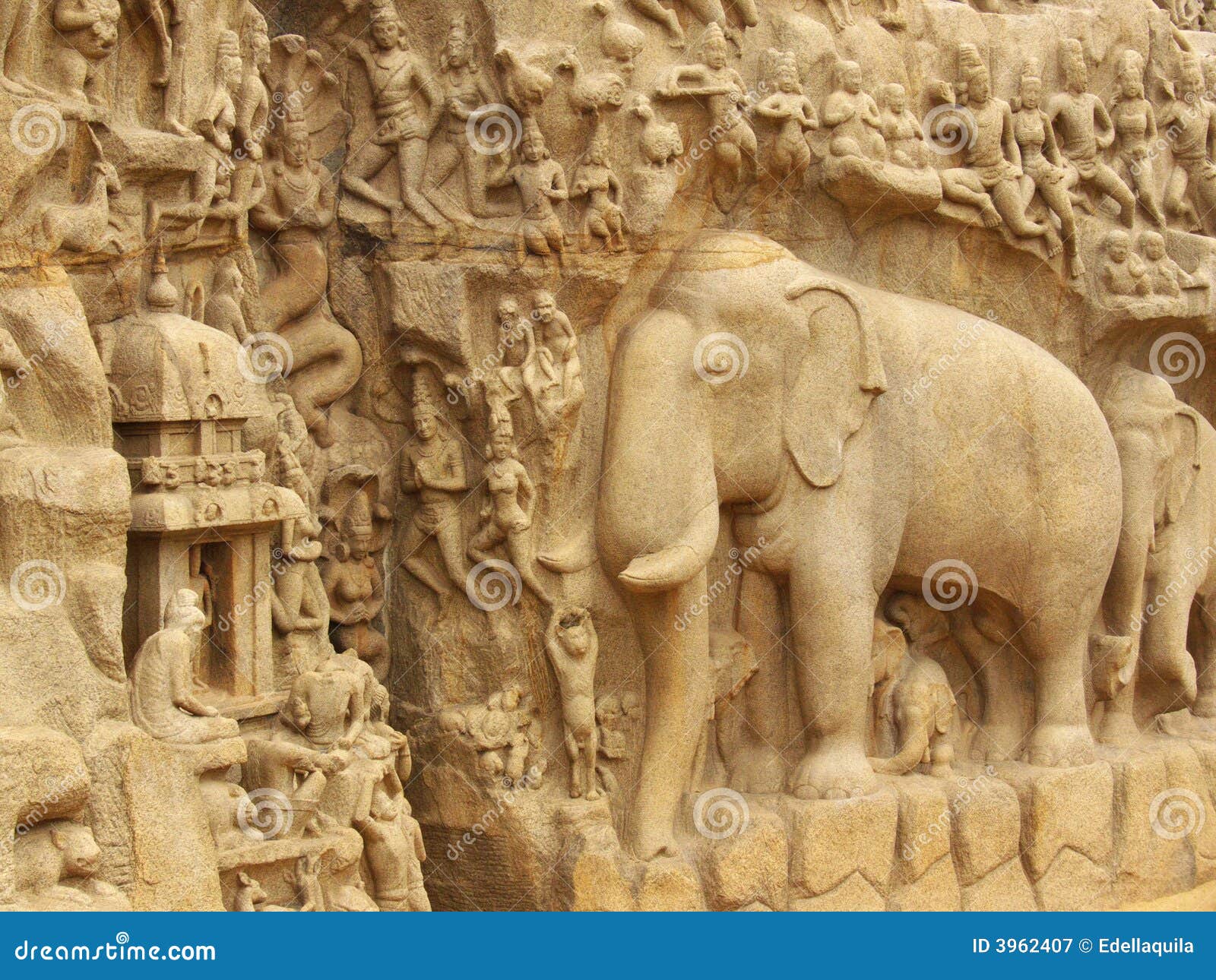 Ancient Engravings Petroglyphs On The Stone Plates Of Onega Lake Shore ...