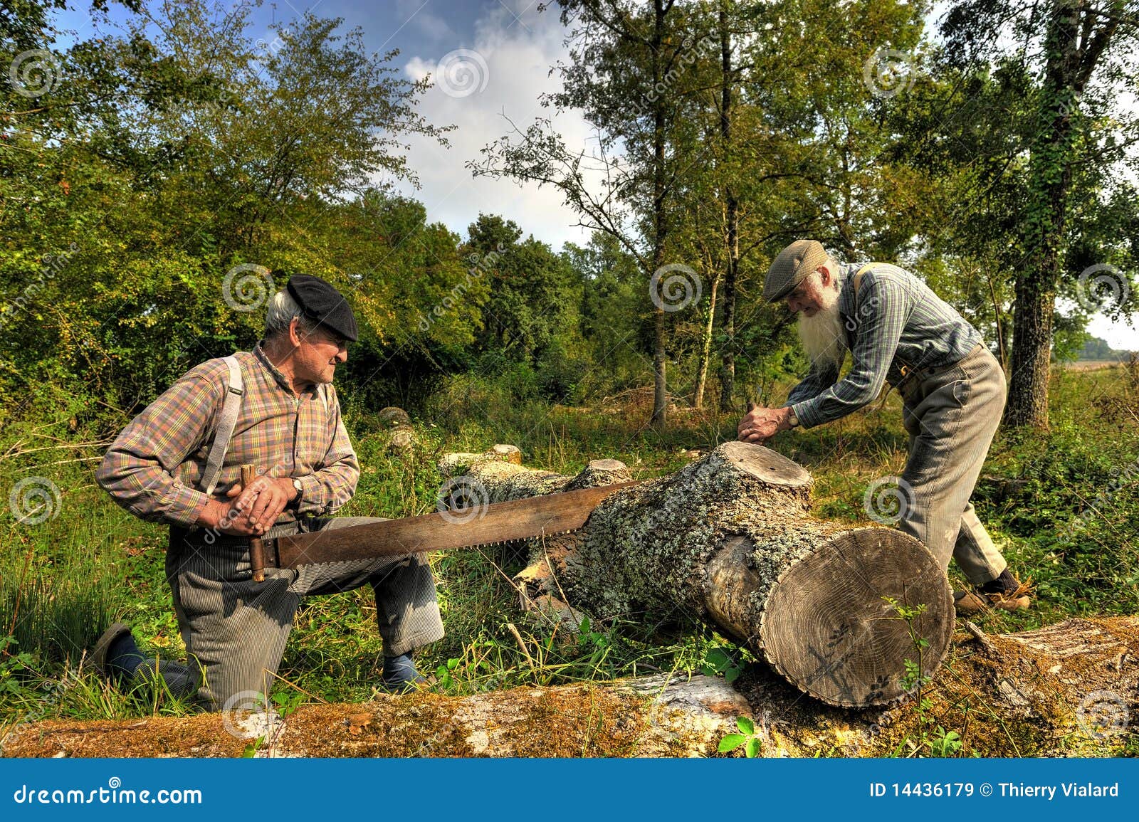 Ancient job three stock image. Image of tools, tree, wooden - 14436179