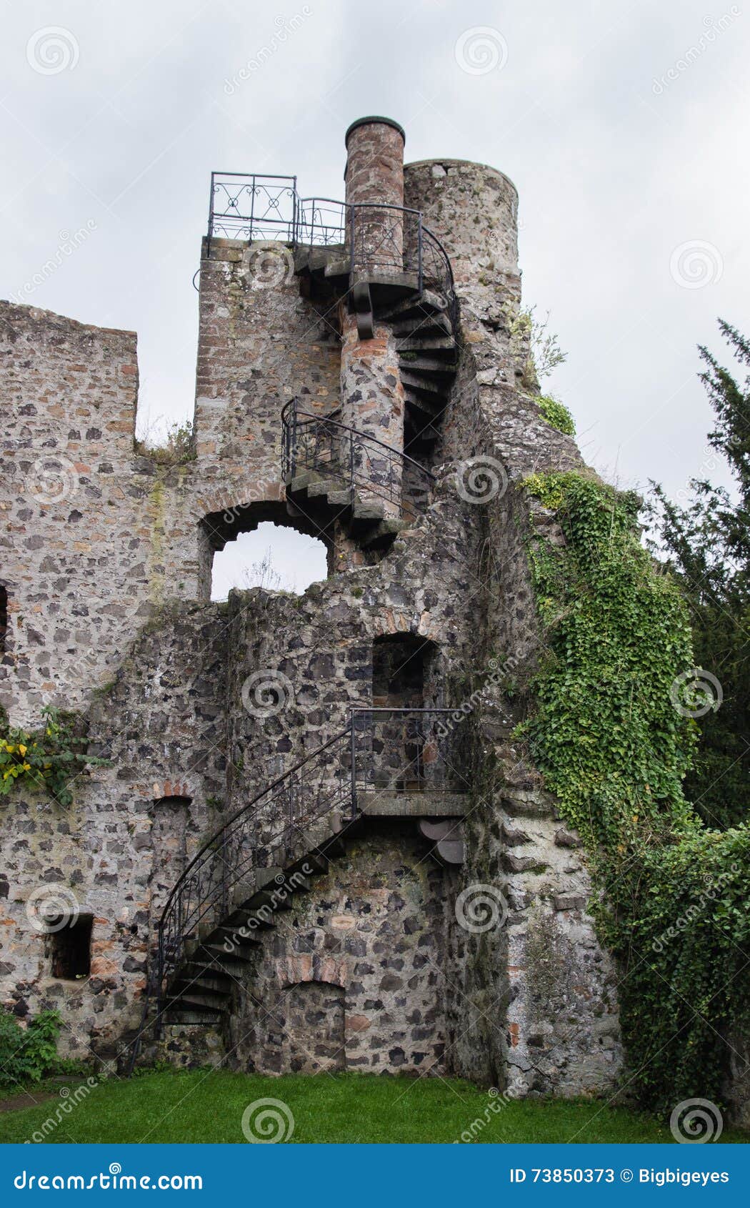 Ancient Ladder at Old Stone Castle Stock Image - Image of nature, plant ...