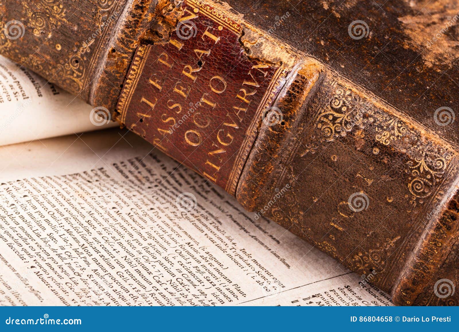 Ancient Latin Dictionary Detail Stock Photos - Free & Royalty-Free ...
