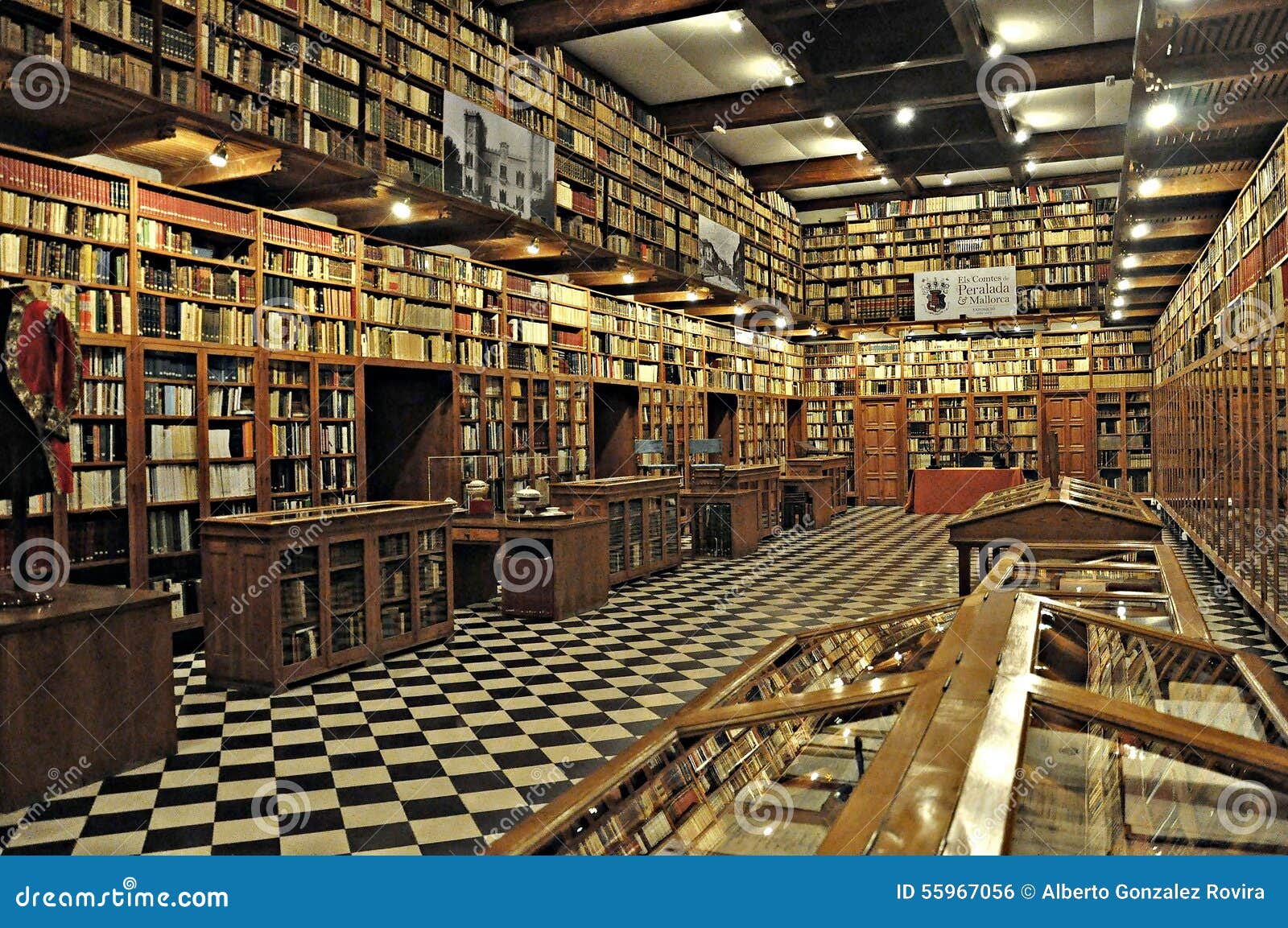 Medieval Castle Library