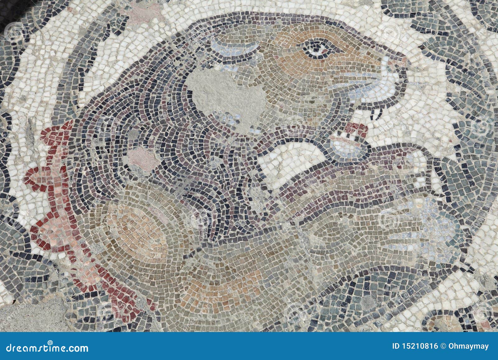 Ancient lion mosaic floor stock photo. Image of lion - 15210816