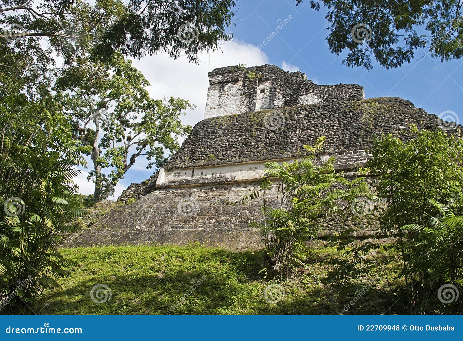 Ancient Maya Structure in Guatemala Stock Photo - Image of tikal, ruin ...