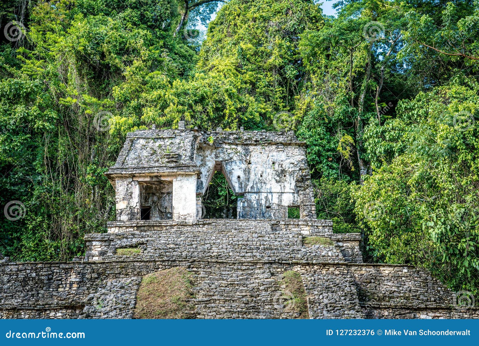 An Ancient Maya Temple in the Jungle of Mexico Stock Photo - Image of ...