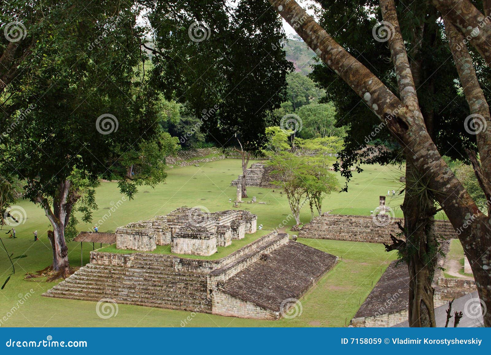 Ancient Mayan City of Copan Stock Image - Image of archeology, pyramid ...