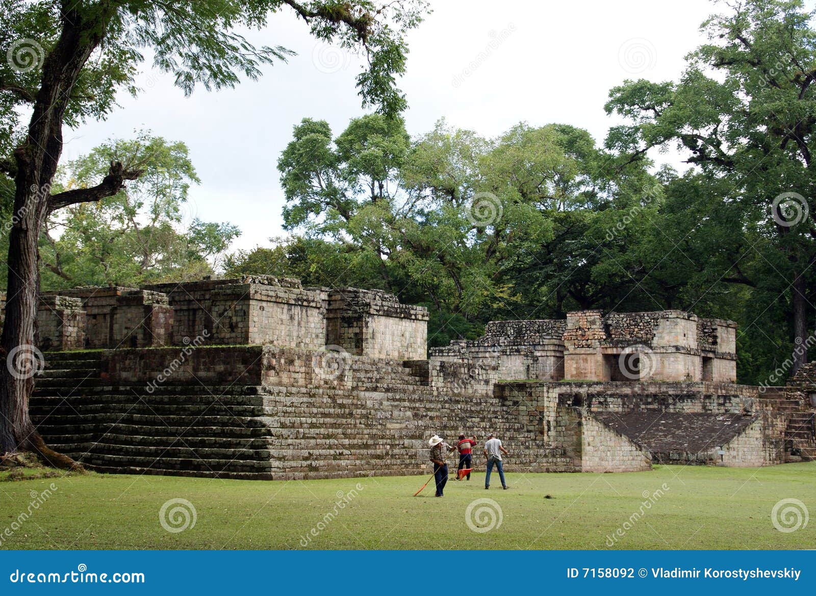 Ancient Mayan City of Copan Stock Photo - Image of jungle, maya: 7158092