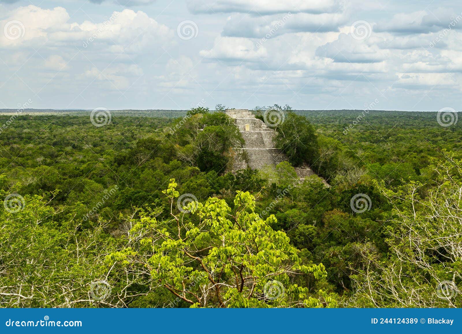 Ancient Mayan Pyramid in the Green Jungle Stock Image - Image of city ...