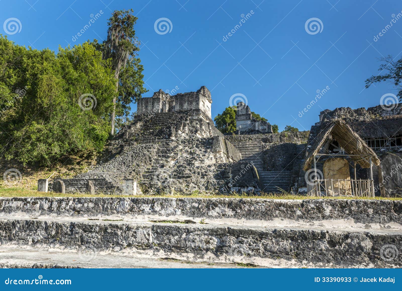 Ancient Mayan Pyramid in Tikal Guatemala Stock Image - Image of ...