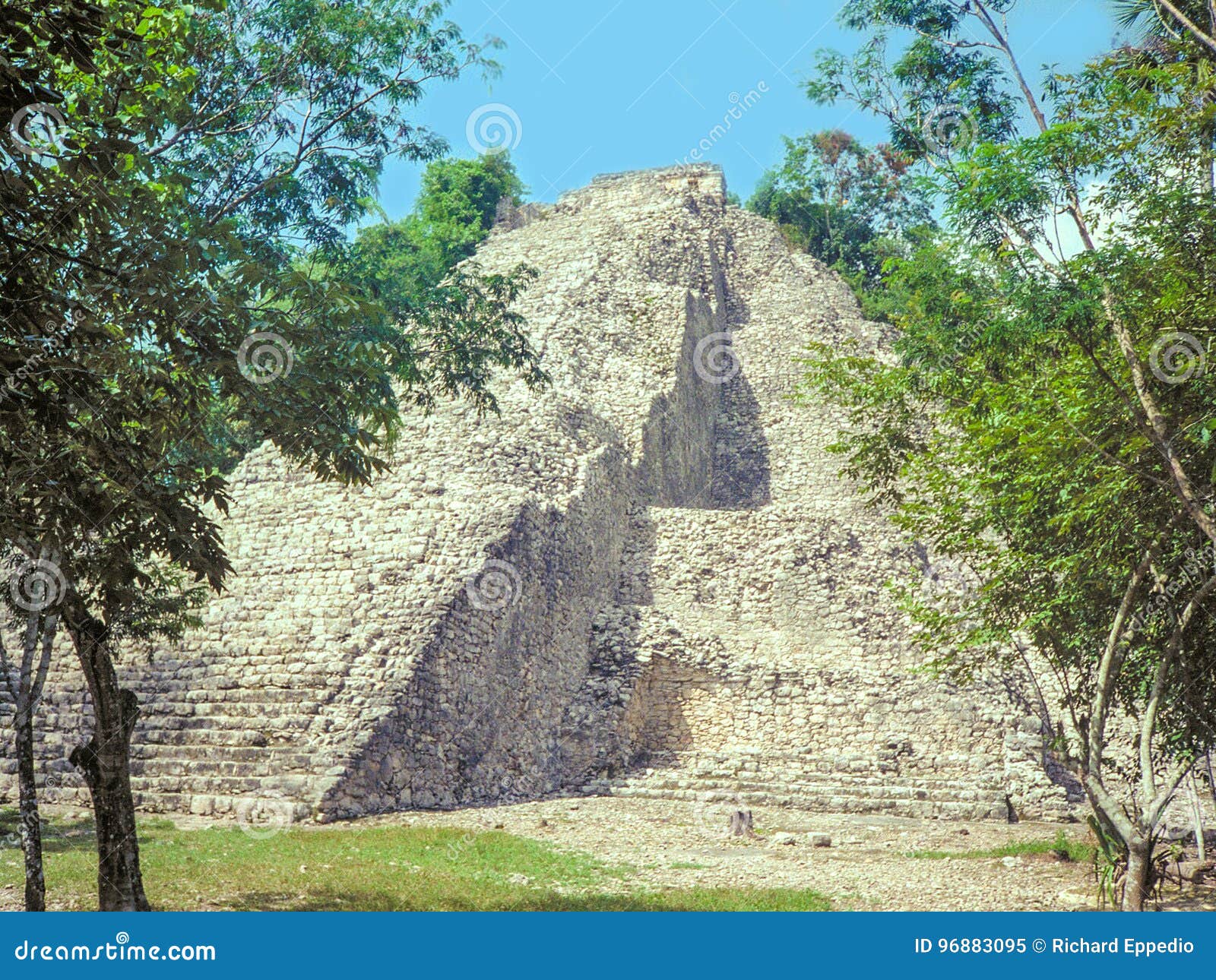 Ancient Mayan Pyramid in Yucatan Jungle Stock Image - Image of aztec ...