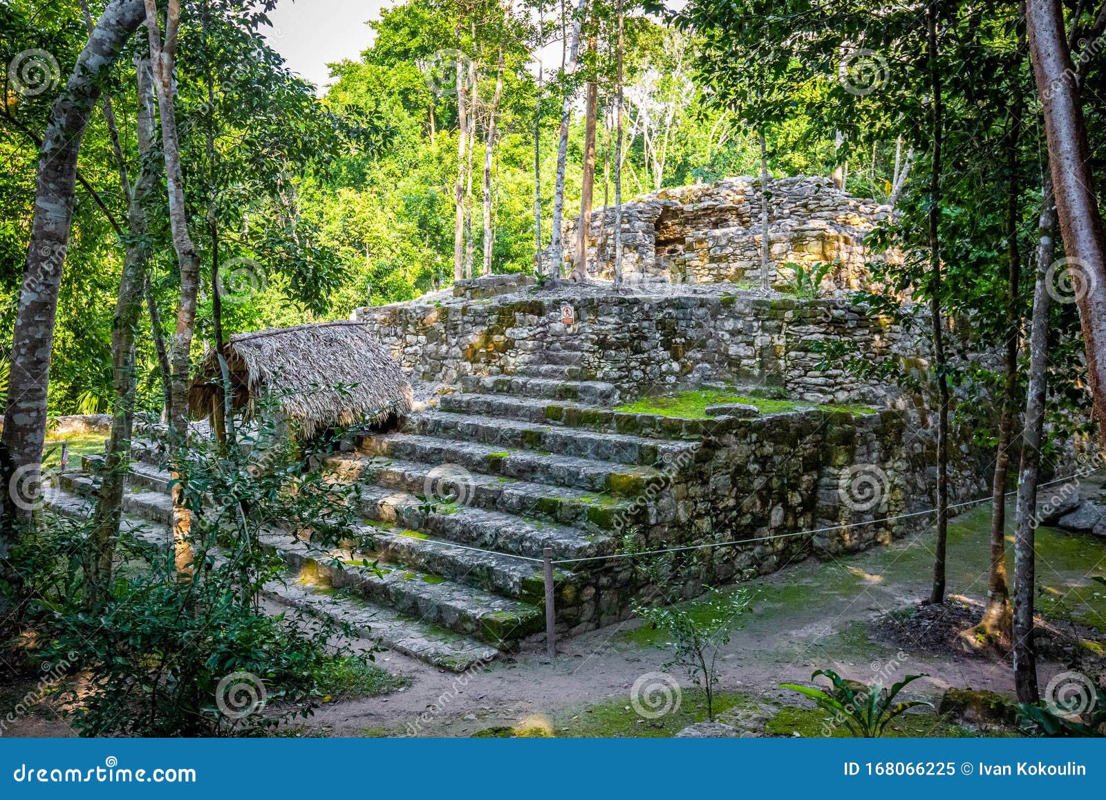 Ancient Mayan Pyramids Nohoch Mul in Coba Stock Image - Image of ...