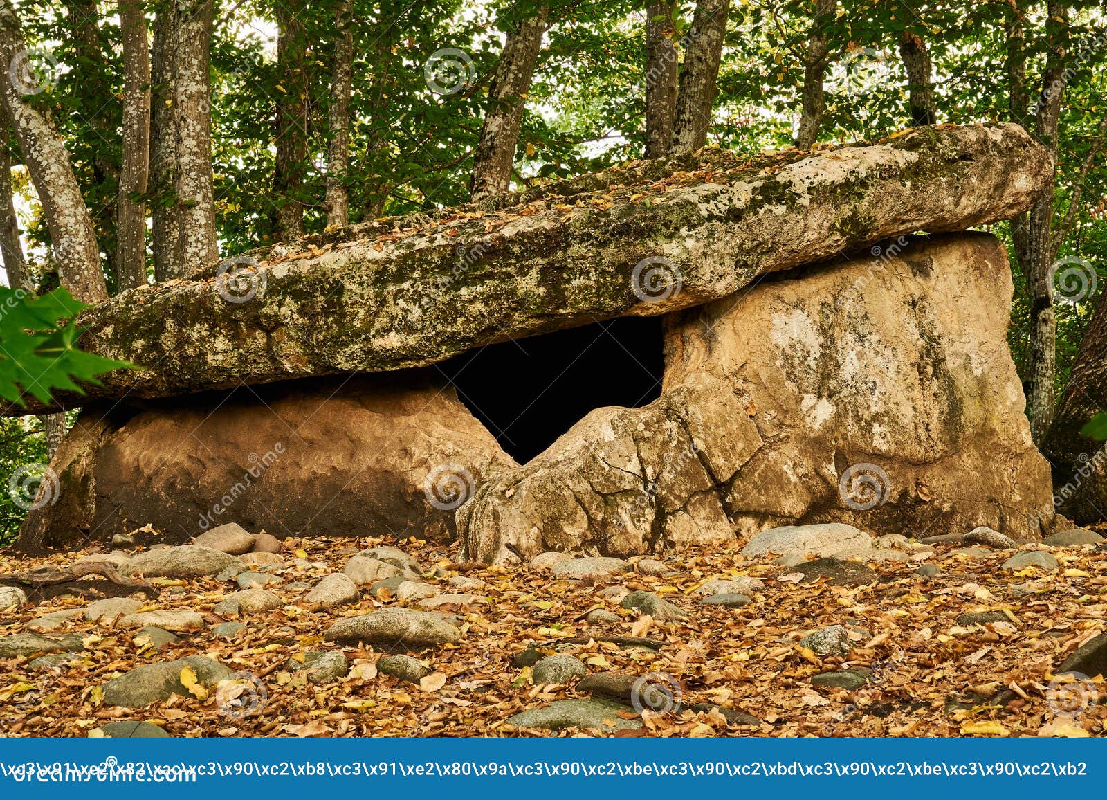 Ancient Megalith Dolmen among Trees in an Autumn Grove Stock Image ...