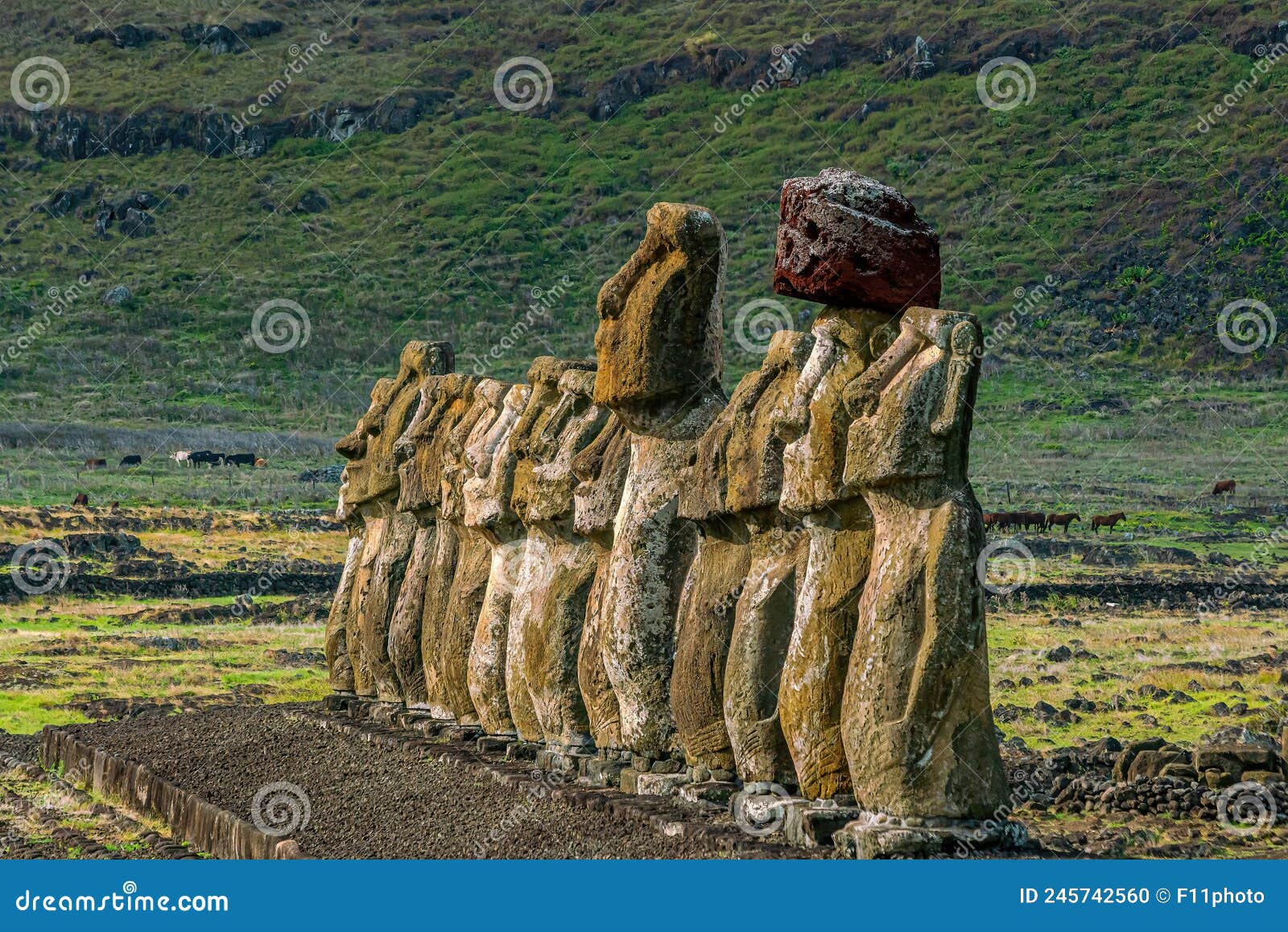 The Ancient Moai of Ahu Togariki, on Easter Island Stock Photo - Image ...