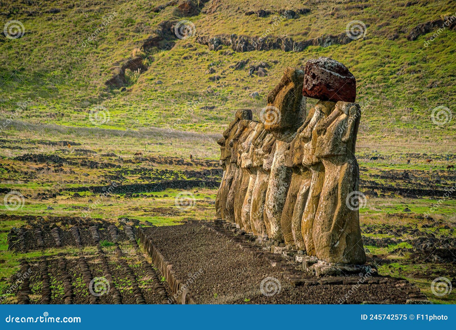 The Ancient Moai On Easter Island Of Chile Stock Photography ...