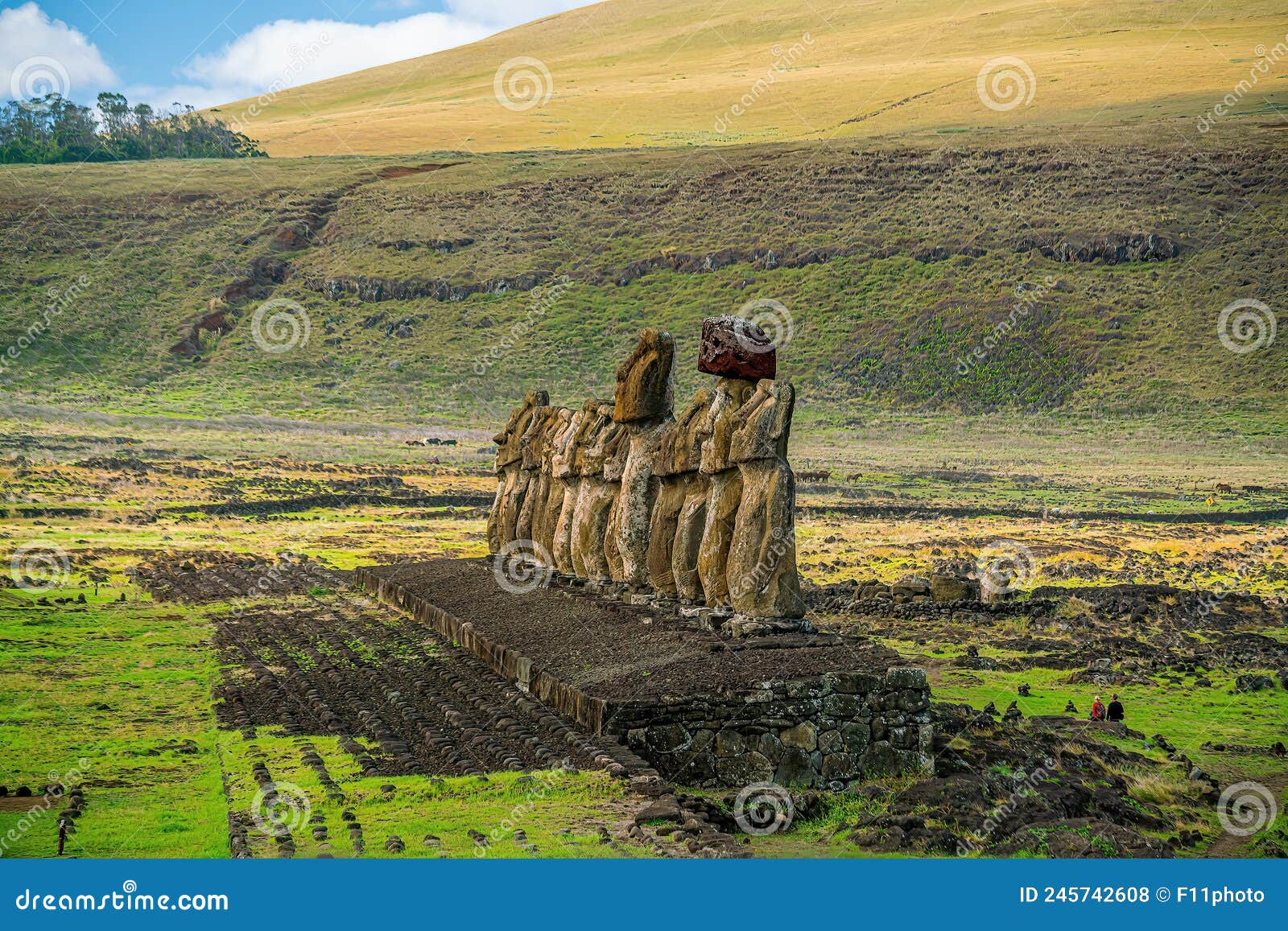 The Ancient Moai On Easter Island Of Chile Stock Photography ...
