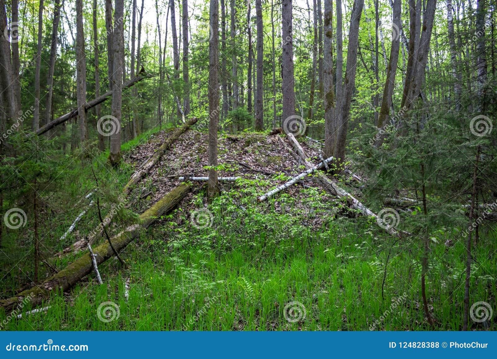 An Ancient Mound Dolmen. Monolithic Tomb Formed With Volcanic Rocks ...