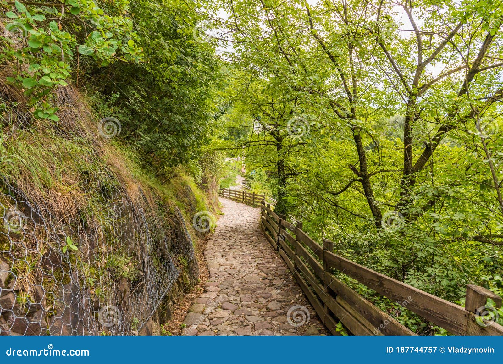 Ancient Narrow Footpath Made of Stone Stock Image - Image of tree, walk ...