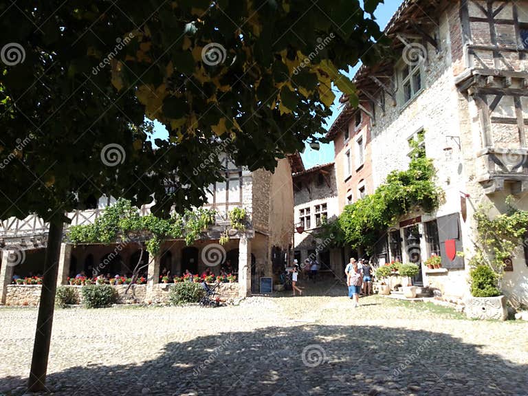 Ancient Old Town in France Perouges Entrance Grapevine and Tree on the ...