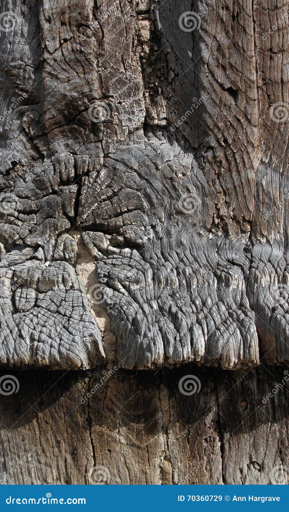 Ancient Old Wooden Pillar stock image. Image of ancient - 70360729
