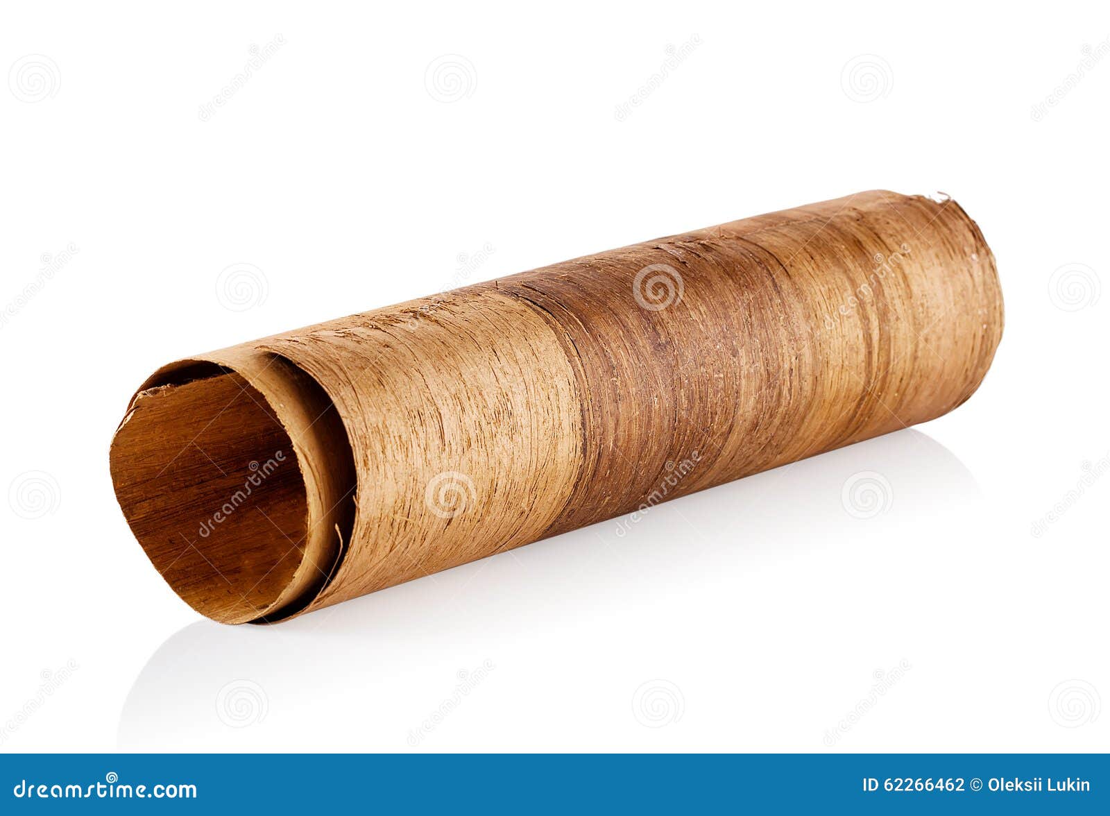 Ancient Rolled Maps Royalty-Free Stock Photo | CartoonDealer.com #91846101