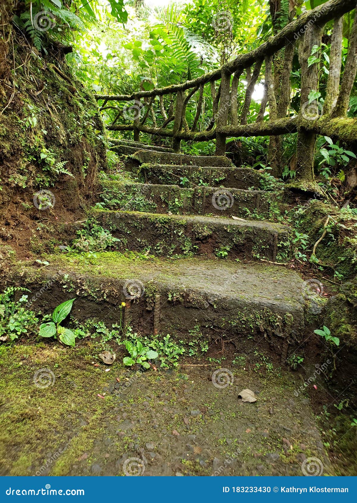Ancient Pathway Moss Green Steps Stock Photo - Image of green, ancient ...