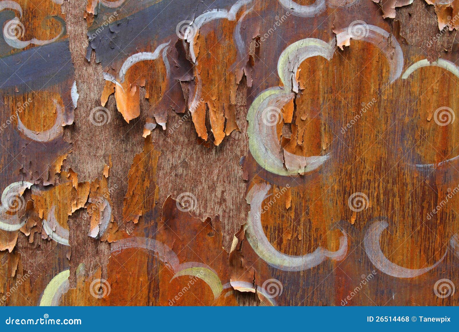 The Ancient Patterned Old Wood Decay. Stock Photo - Image of damaged ...