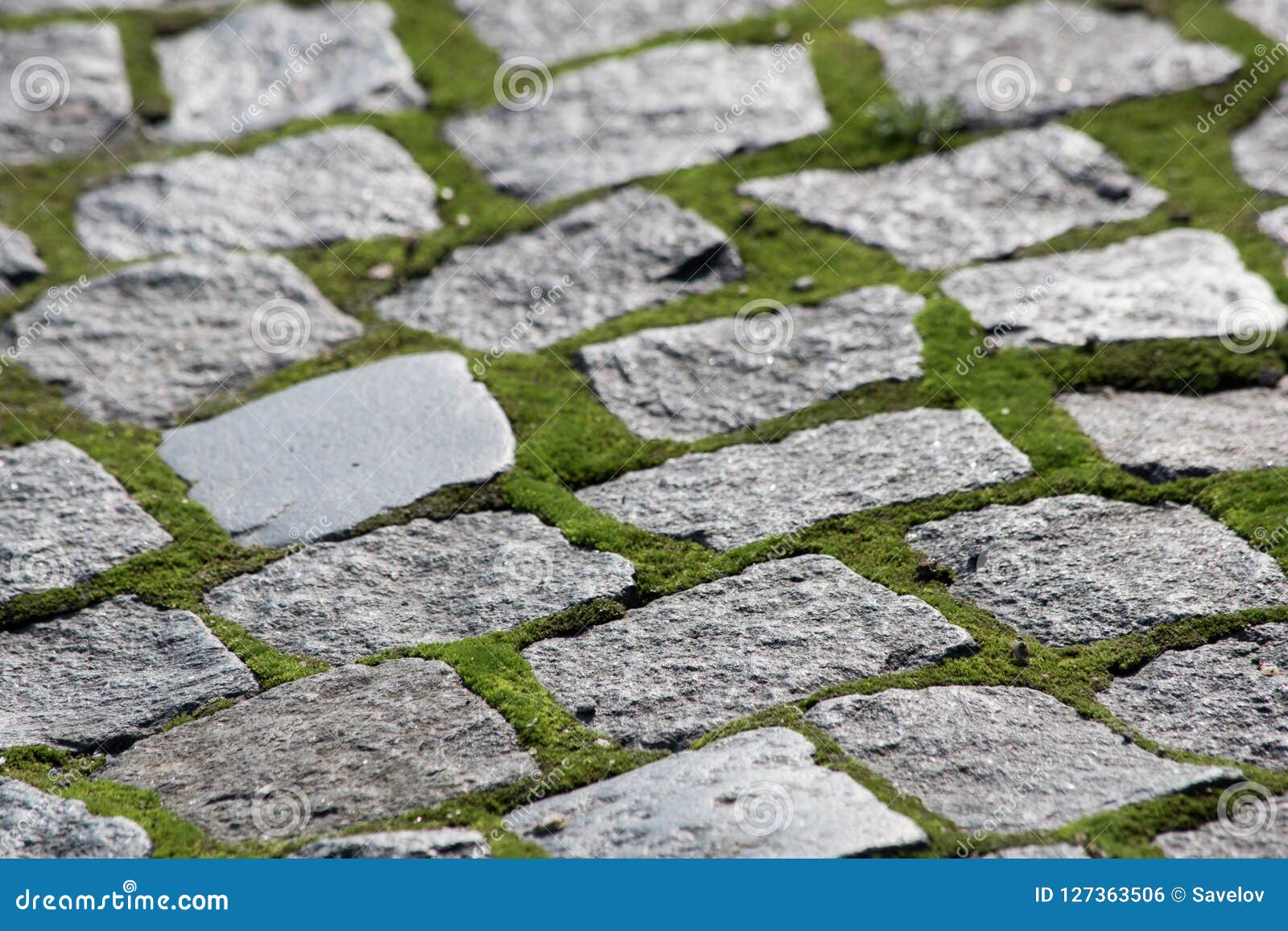 Ancient Paving Stones with Moss Stock Photo - Image of pavement, grey ...