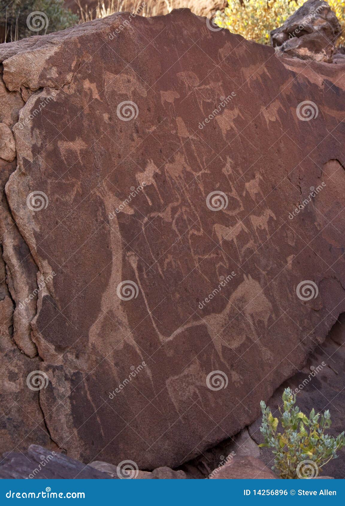 Ancient Petroglyphs - Namibia Stock Photo - Image of tourism, animals ...