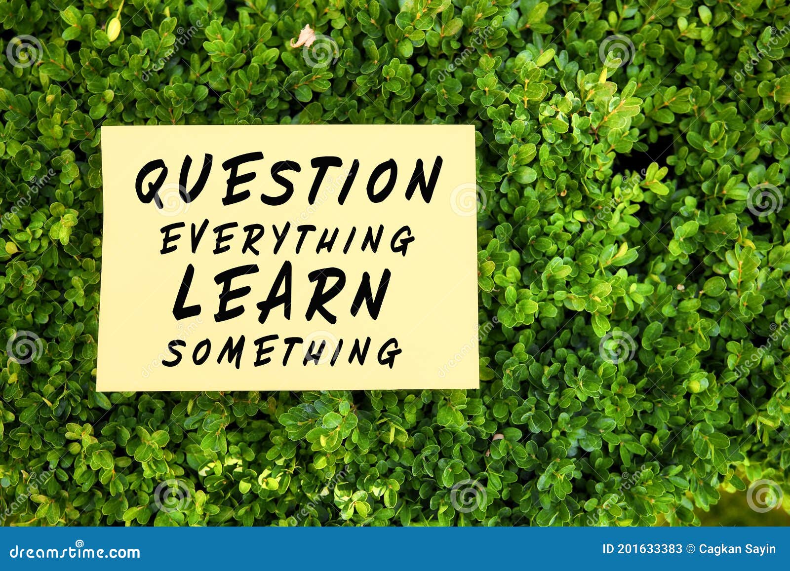 Ancient Philosopher Euripides`s Words Question Everything Learn ...