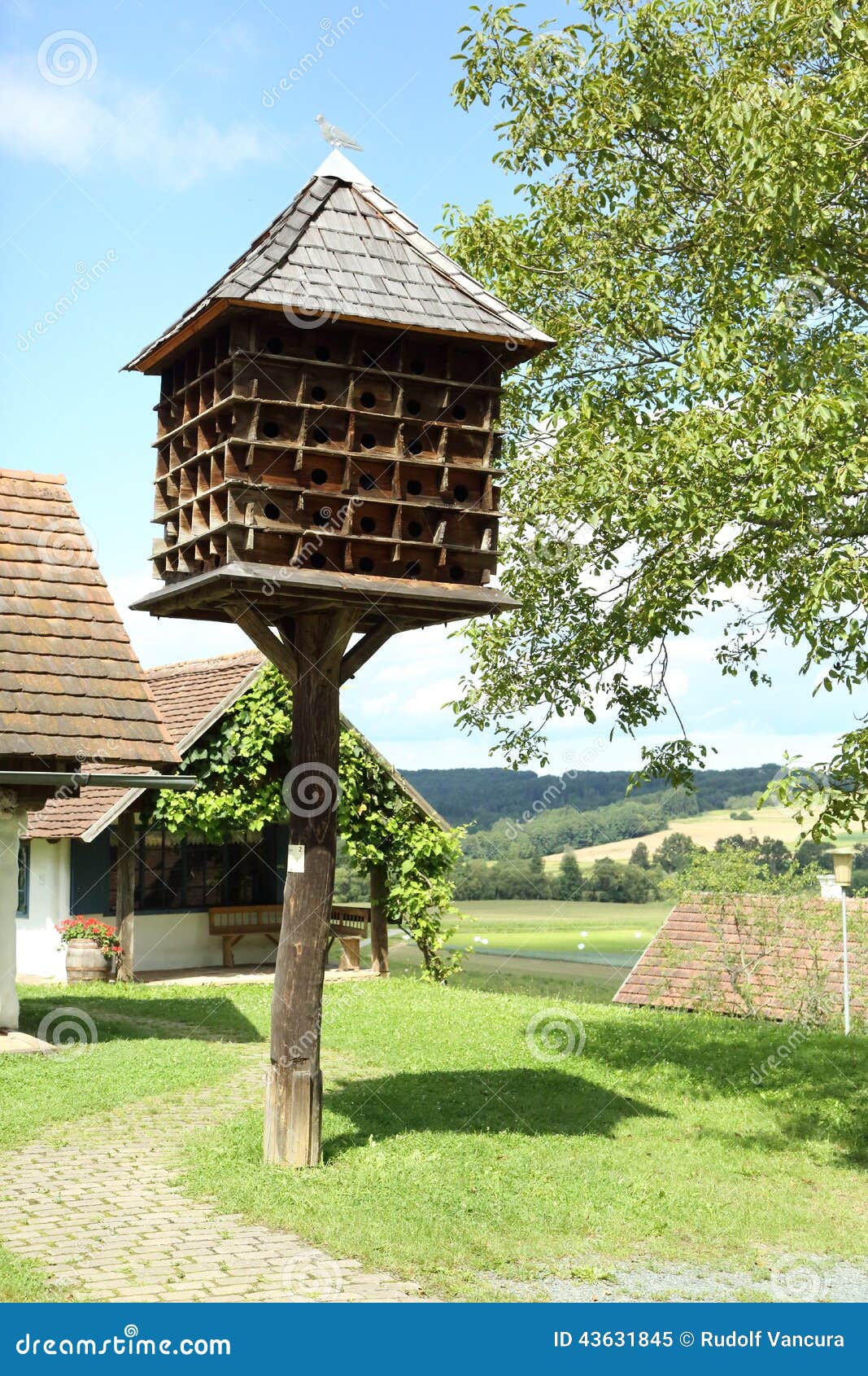 Wooden Pigeon House With Pigeons Sitting On The Roof. A Pigeon Flies ...