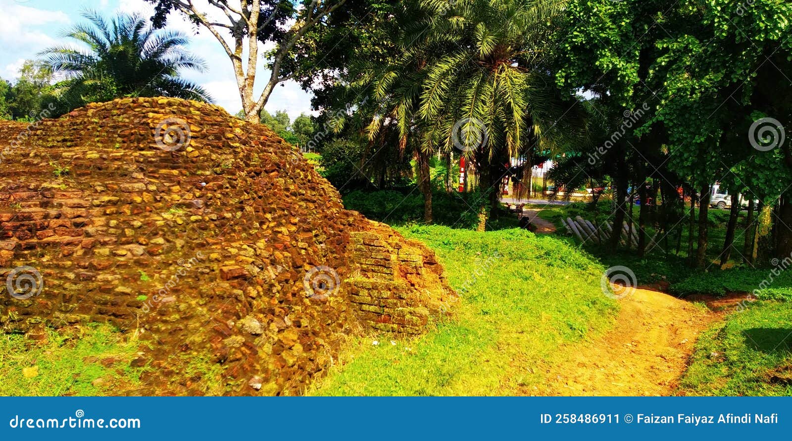 An Ancient Place with so Many Trees with Shadows Stock Image - Image of ...