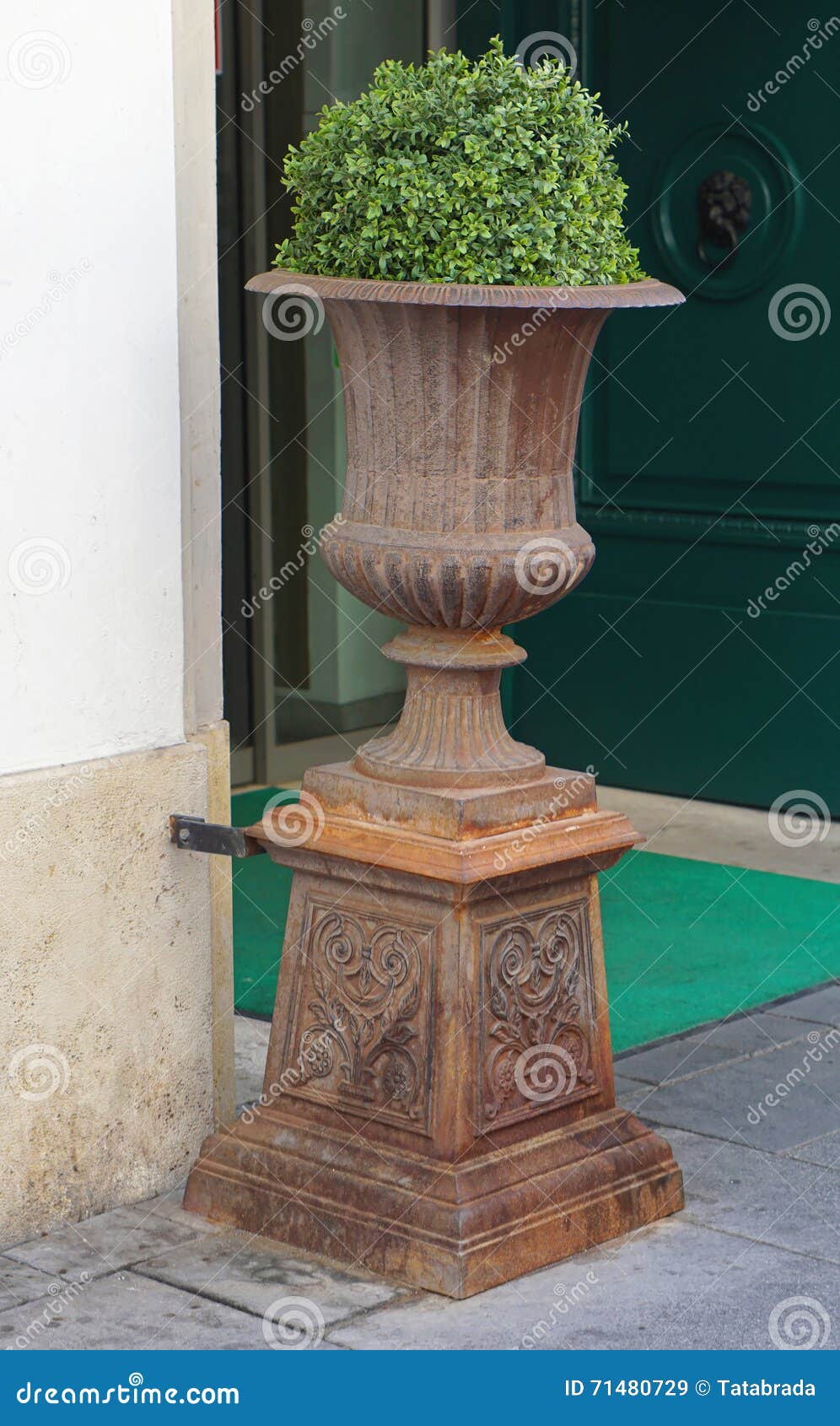 Ancient plant pot stock image. Image of object, plant - 71480729