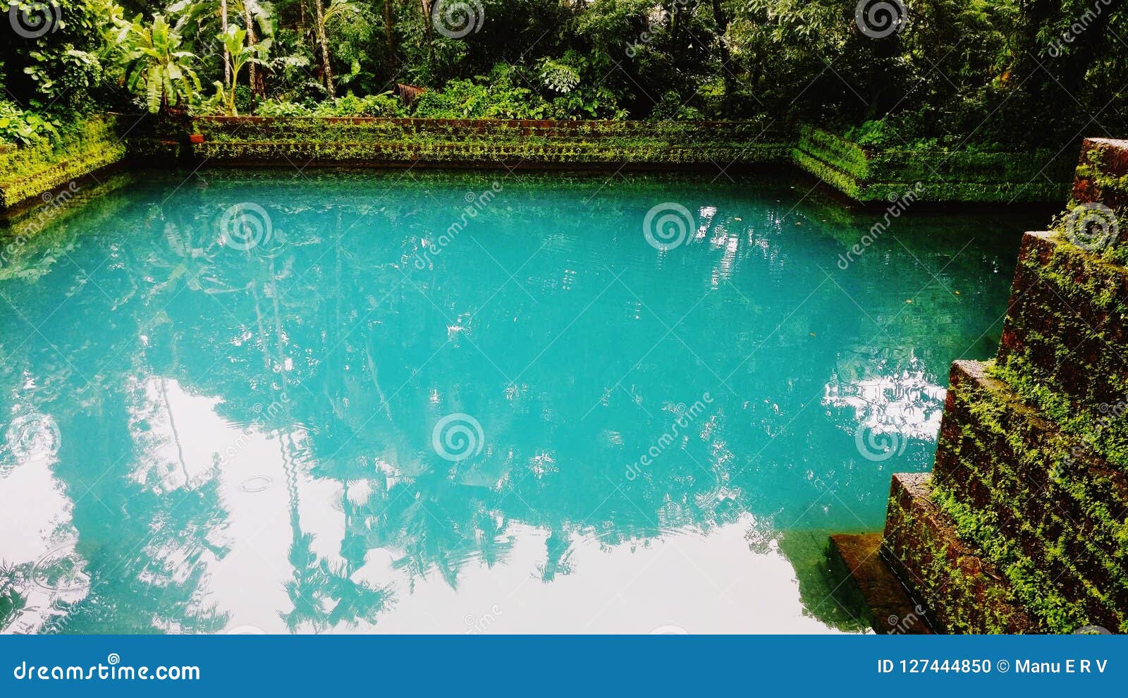 Ancient pond stock photo. Image of right, home, ancient - 127444850