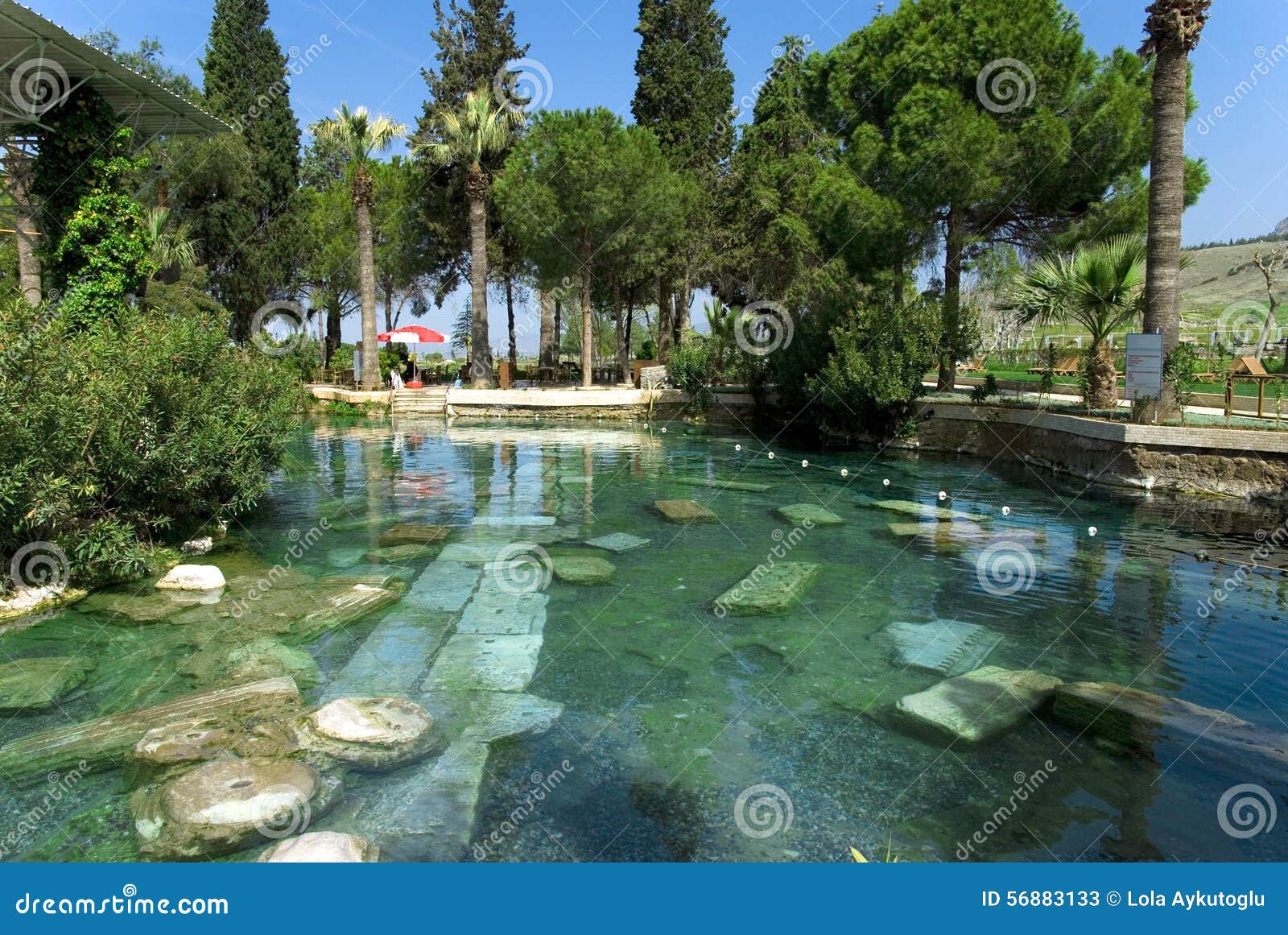 Ancient pool in Pamukkale. stock image. Image of basin - 56883133