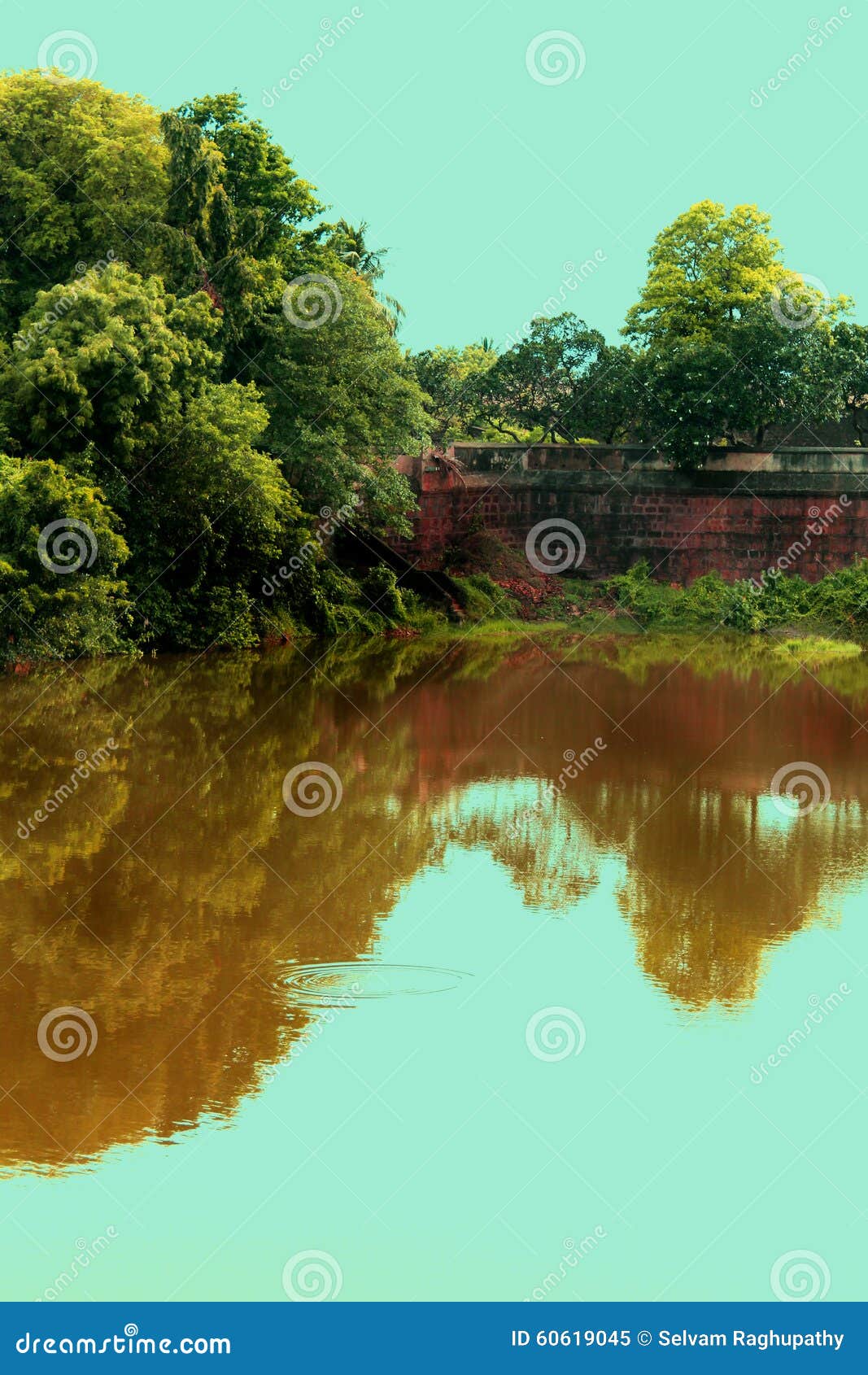 Ancient pool with wall stock image. Image of front, flowers - 60619045