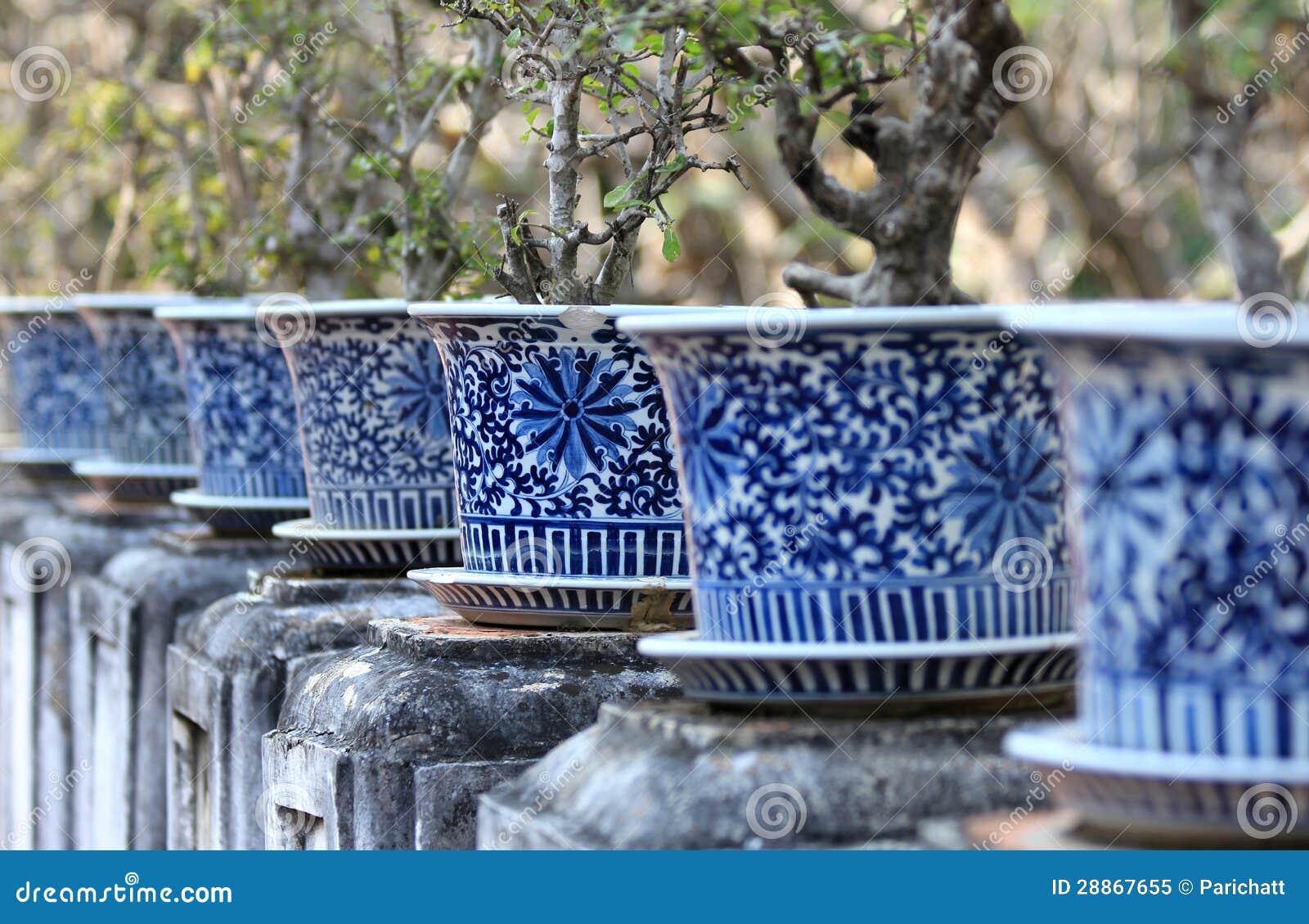 Ancient pots for plants stock image. Image of precious - 28867655