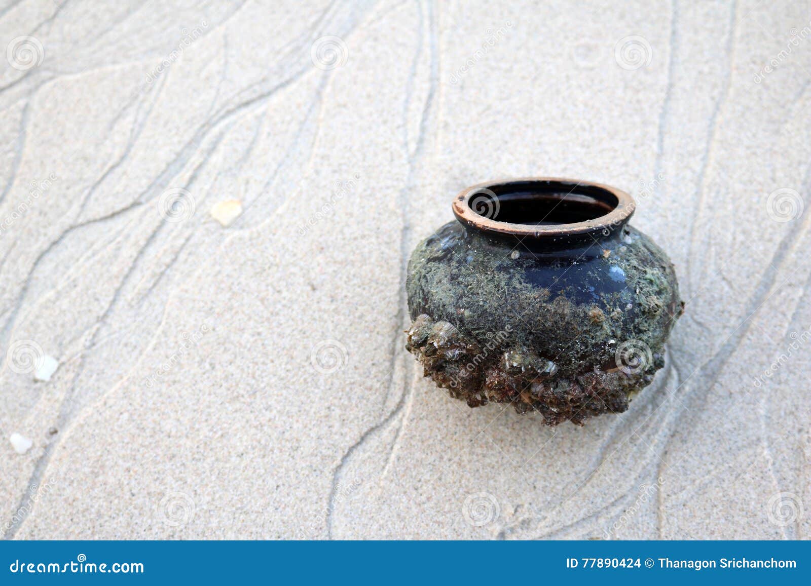 Ancient Pottery with Sea Shell on the Beach. Stock Photo - Image of ...