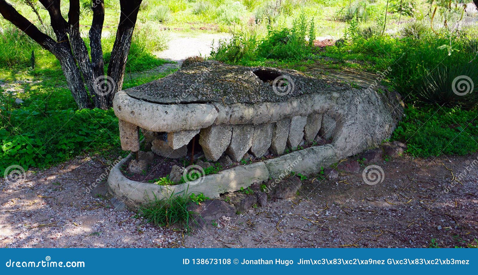 Ancient Prehispanic Crocodile Made of Stone Stock Photo - Image of ...