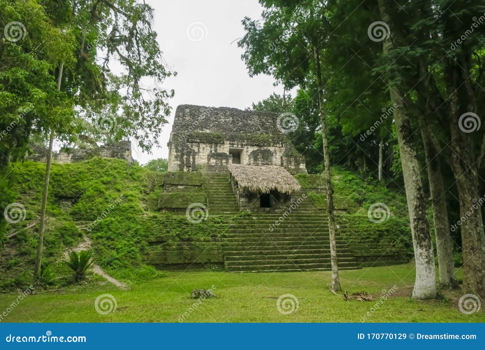 The Ancient Pyramid of the Mayan Civilization in Tikal, Guatemala Stock ...
