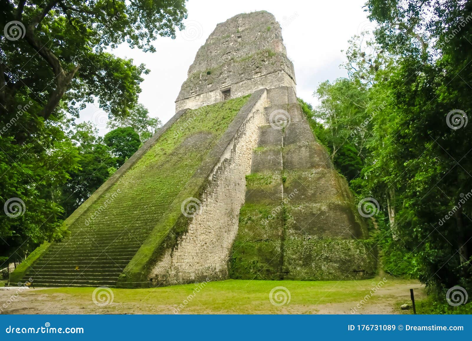 The Ancient Pyramid of the Mayan Civilization in Tikal, Guatemala Stock ...