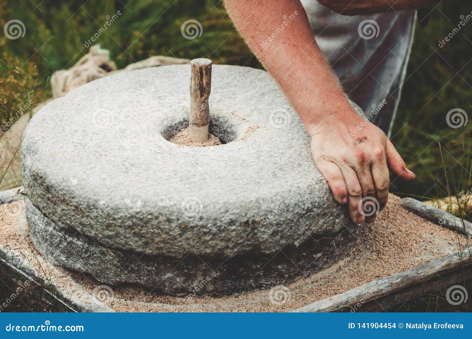 The Ancient Quern Stone Hand Mill with Grain. the Man Grinds the Grain ... The Ancient Quern Stone Hand Mill with Grain. the Man Grinds the Grain ...