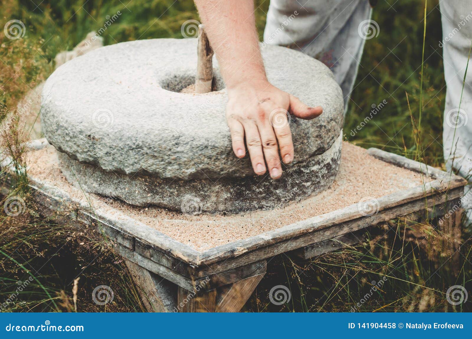 The Ancient Quern Stone Hand Mill with Grain. the Man Grinds the Grain ... The Ancient Quern Stone Hand Mill with Grain. the Man Grinds the Grain ...
