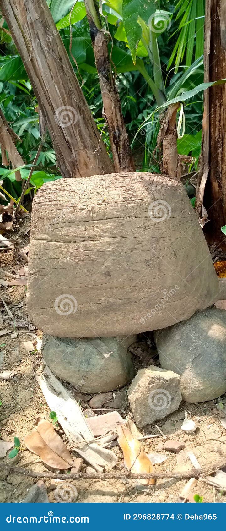 An Ancient Rice Pounding Tool from the Ancient Kingdom Era Stock Photo ...