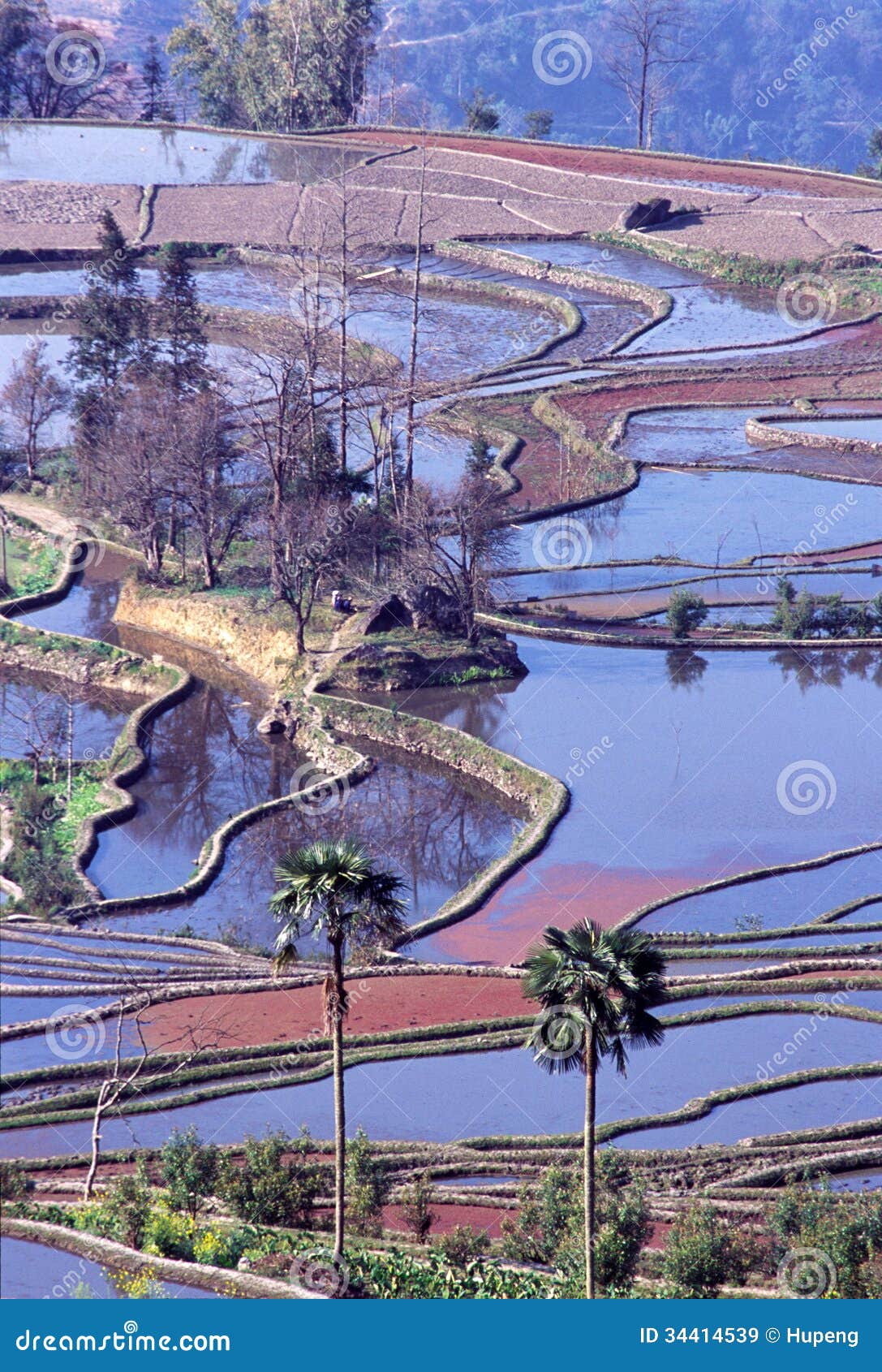 Ancient rice terraces stock image. Image of home, county - 34414539